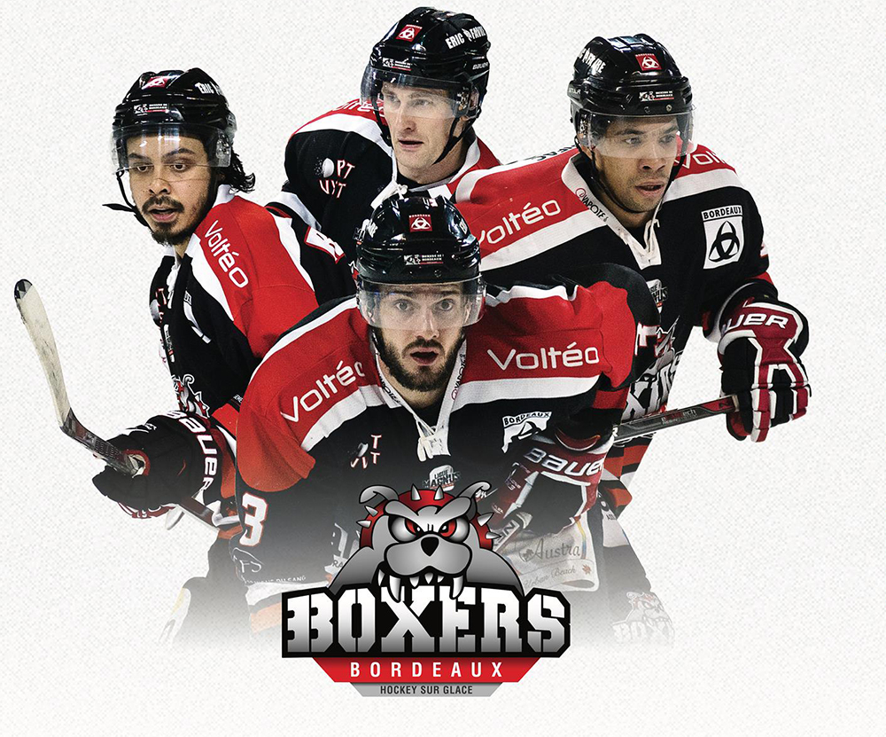 LBS partenaire des boxers de Bordeaux saison 2015/2016 | LBS GROUPE
